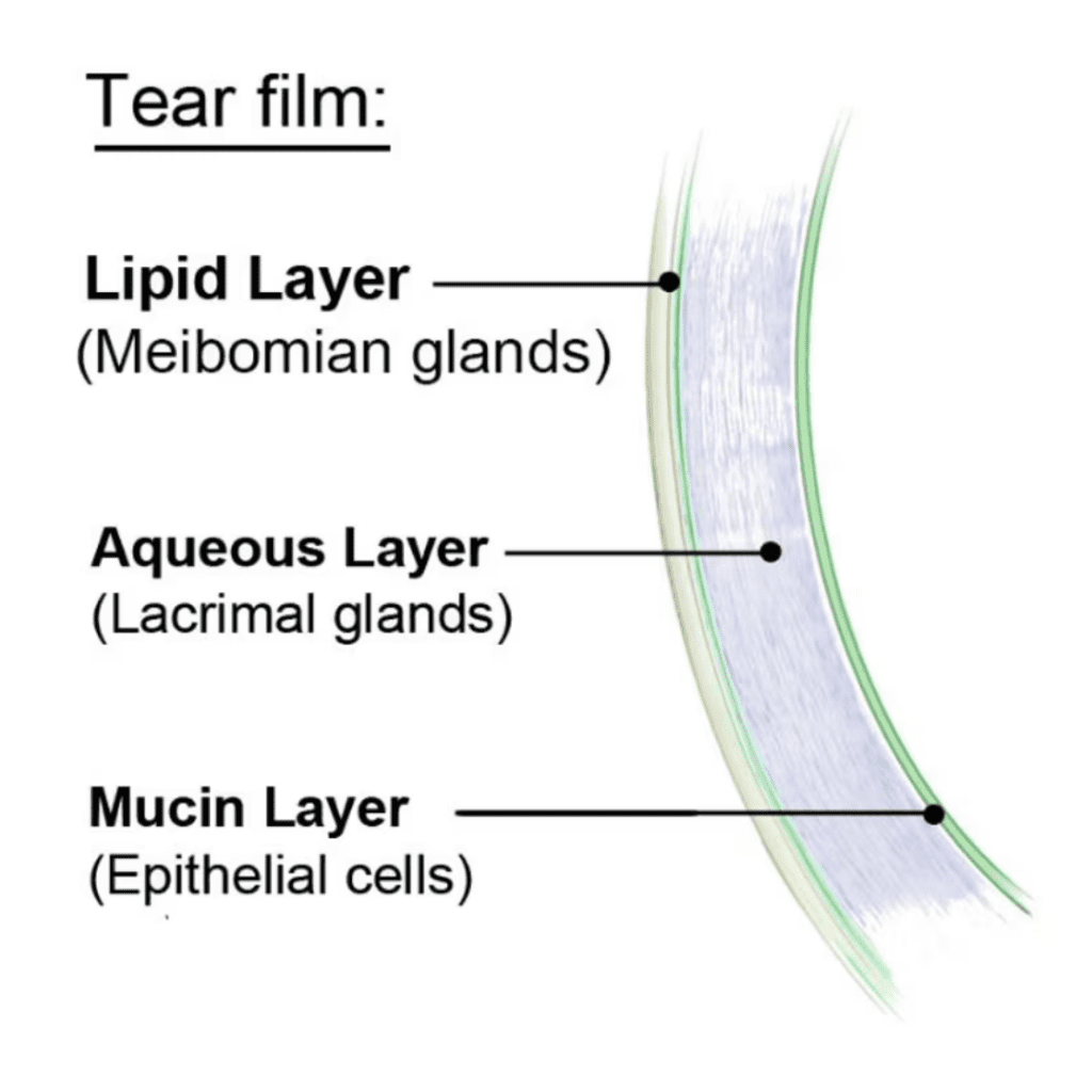 Dry Eye Symptoms: What Your Optometrist Wants You to Know - Boerne ...